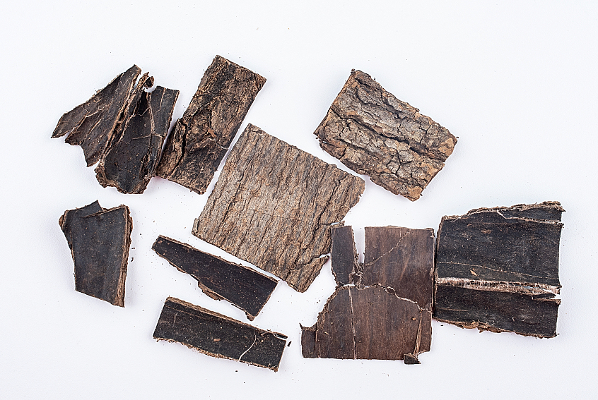 Eucommia extract - Nourishing Ingredients